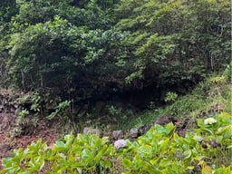 Madeira PR Navigator