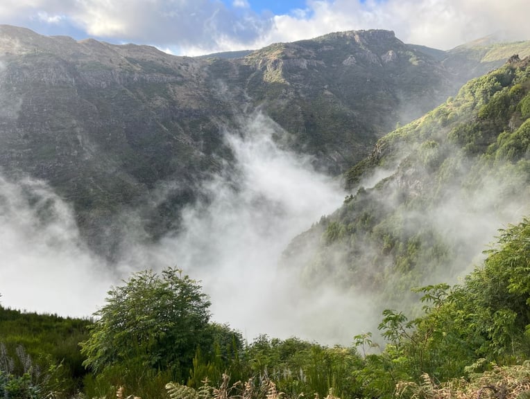 Beautiful hike in Funchal Ecological Park